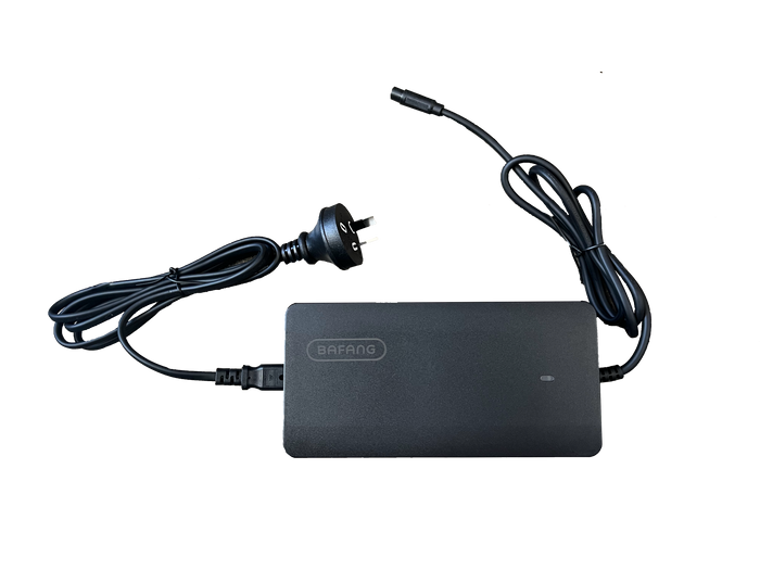 Extra Battery Charger